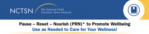 Pause – Reset – Nourish (PRN) to Promote Wellbeing | International Society of Substance Use ...